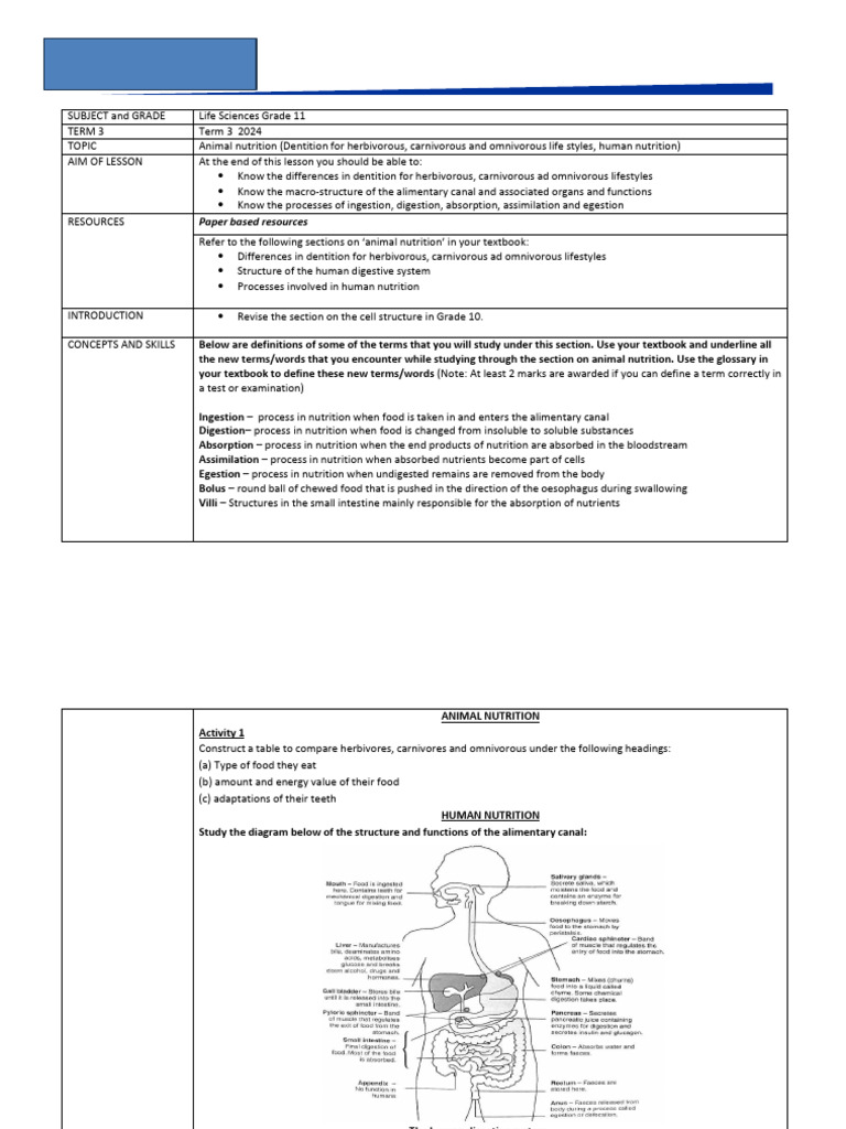 Life-Sciences-Grade-11 Animal Nutrition | PDF