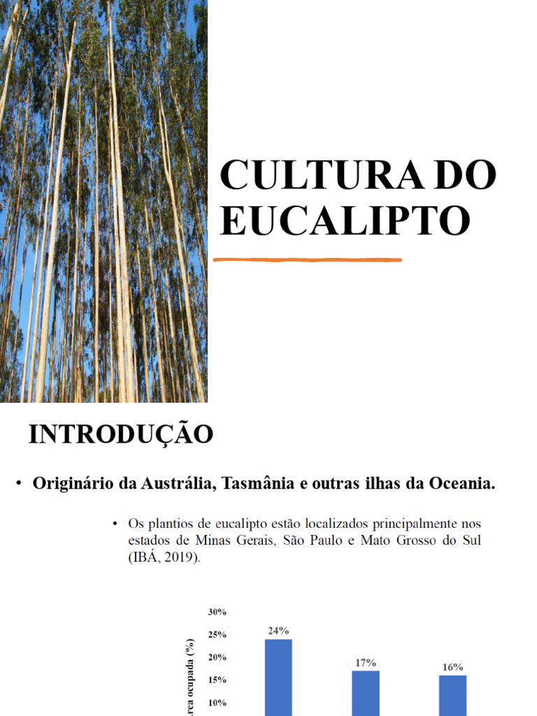 EUCALIPTO | PDF