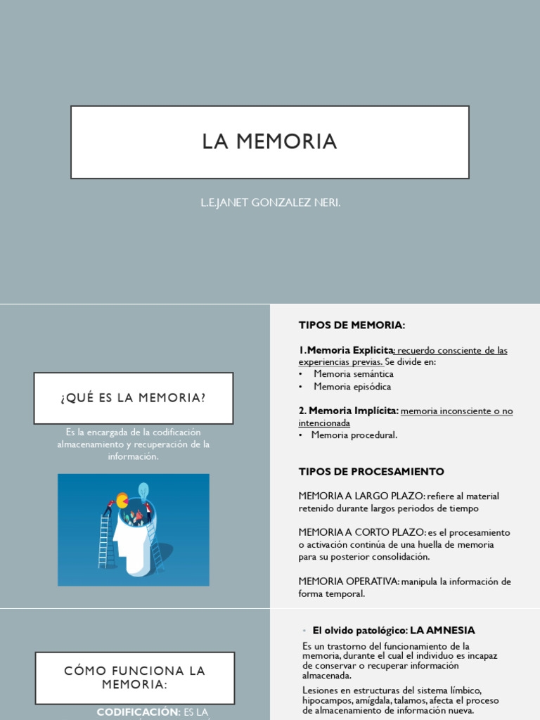 MEMORIA | PDF