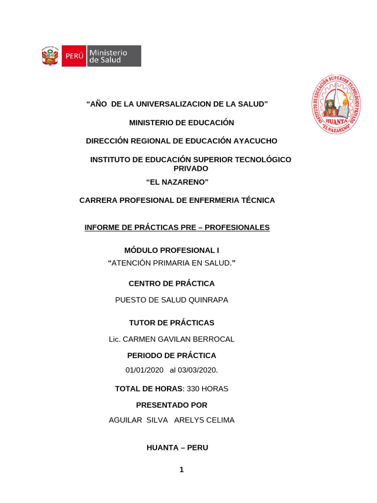 Arely Informe Corregido | PDF