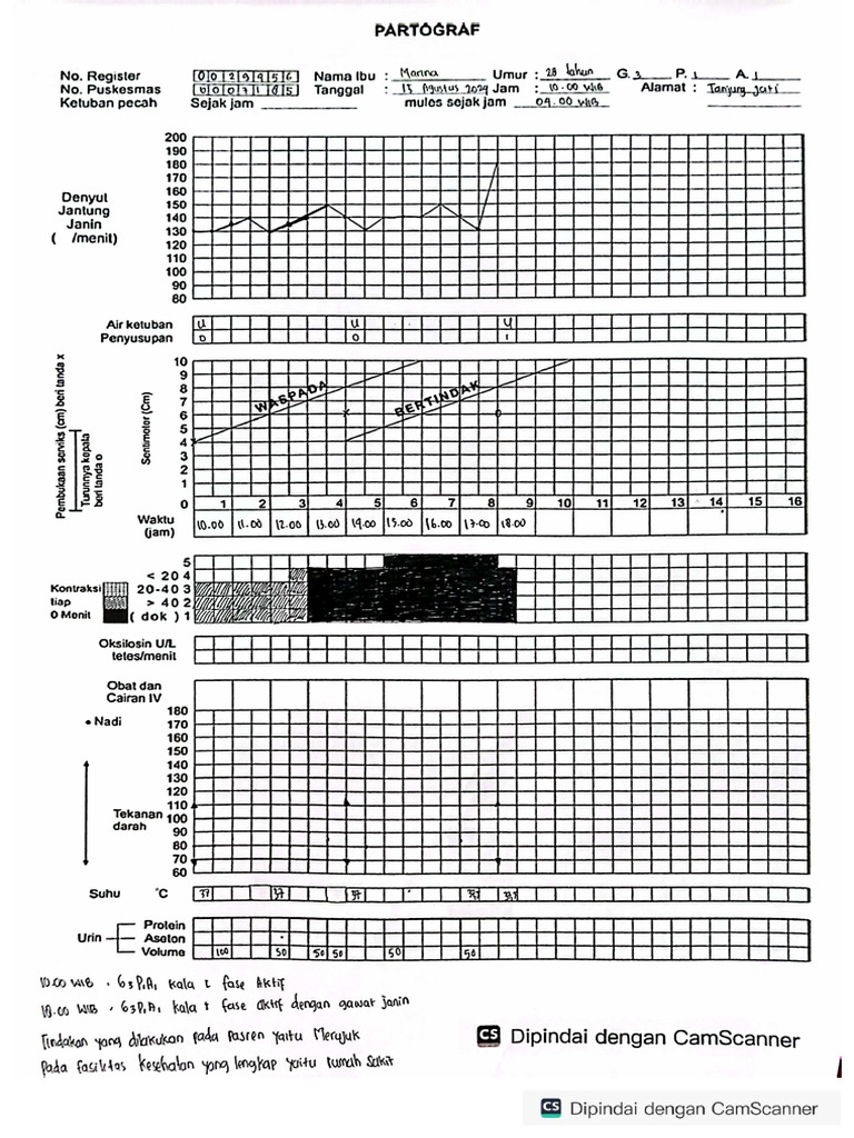 Patograf by Lidya | PDF