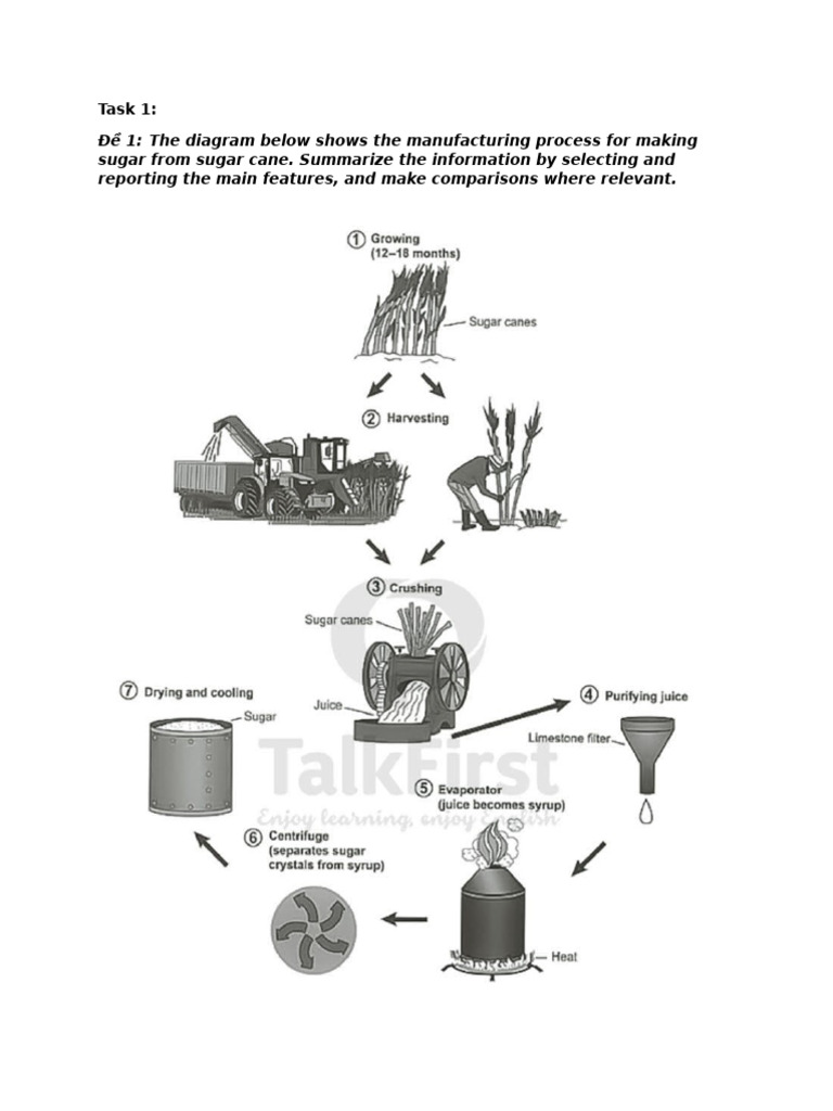 Wri 1 - Process | PDF