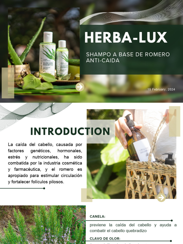 Green Simple Shampoo Product Sales Strategy Project Presentation | PDF