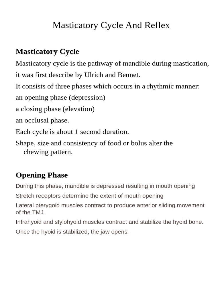 [Masticatory Cycle And Reflex].worddoc | PDF