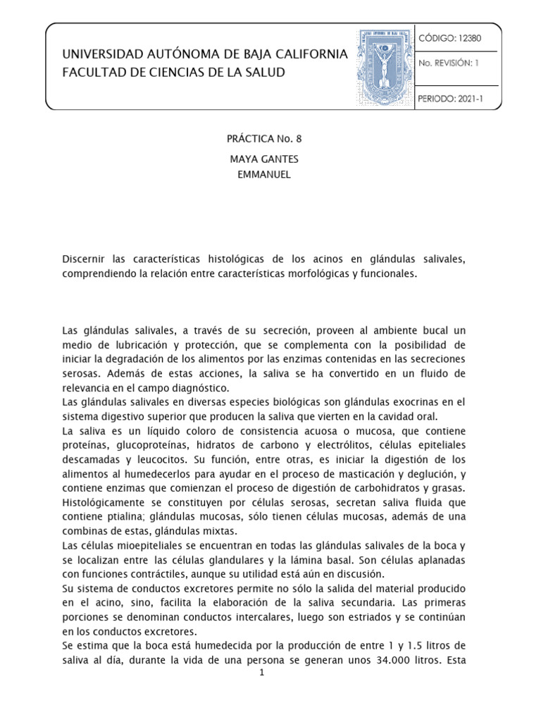 Practica 8 | PDF