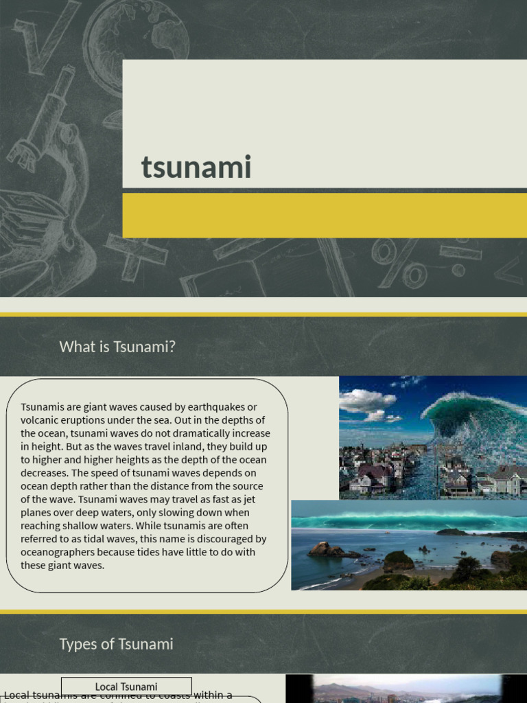 Tsunami | PDF