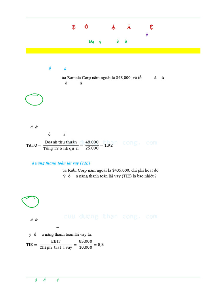 Tham Khao - Bai Tap PT BCTC | PDF | Vietnam | Business