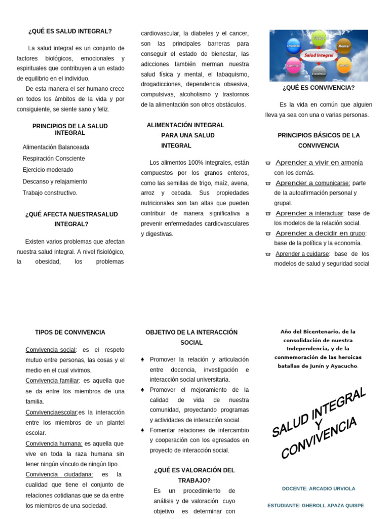 229029787-Triptico-Salud-Integral Jharoll | PDF