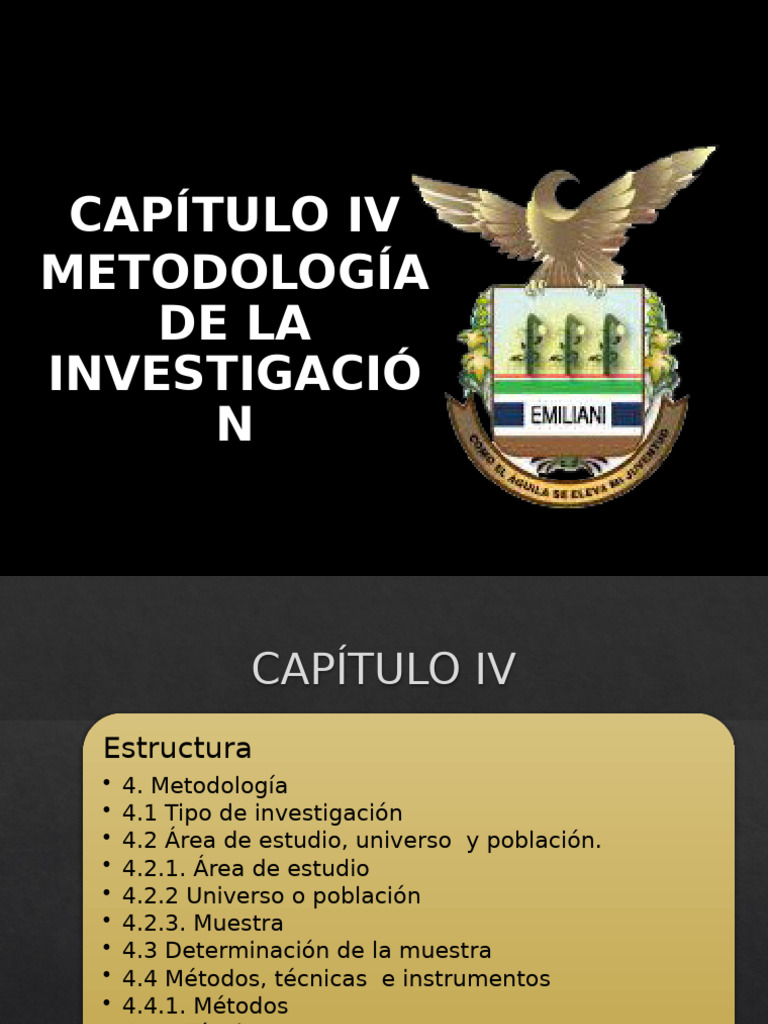 Capitulo Iv | PDF