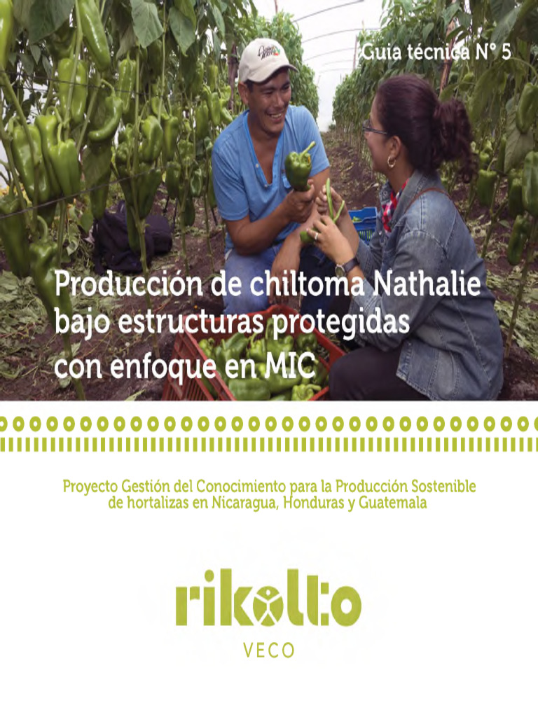 Guia de Cultivo de Chiltoma Mic | PDF