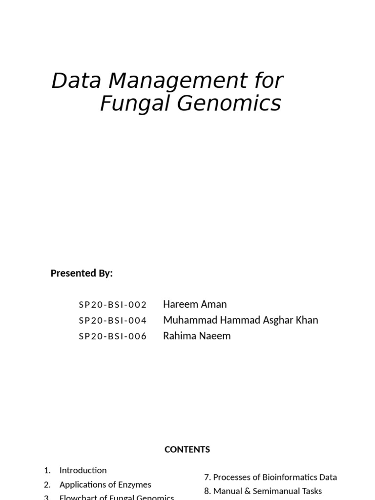 BDD Presentation | PDF