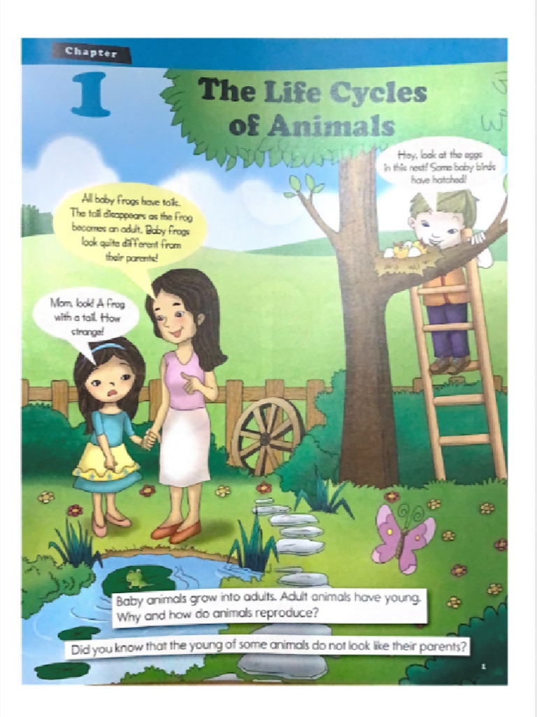 Life Cycles OG | PDF