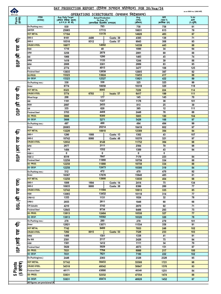 Daily Report | PDF