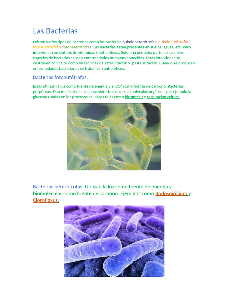 Las Bacterias 1 | PDF