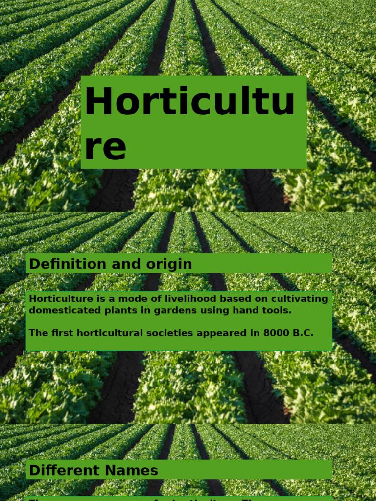 Horticulture: 5 Essential Steps | PDF | Home & Garden | Science ...