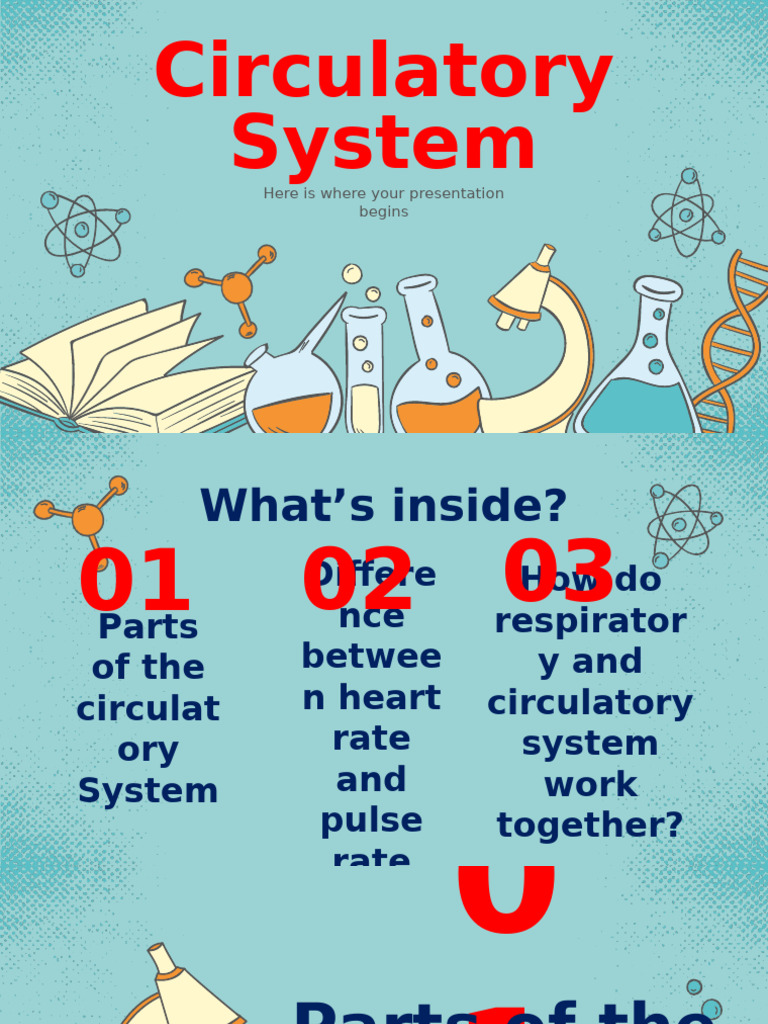 Circulatory System Its Coordinated Function With Respiratory System LP2 Q1 | PDF | Heart | Wellness