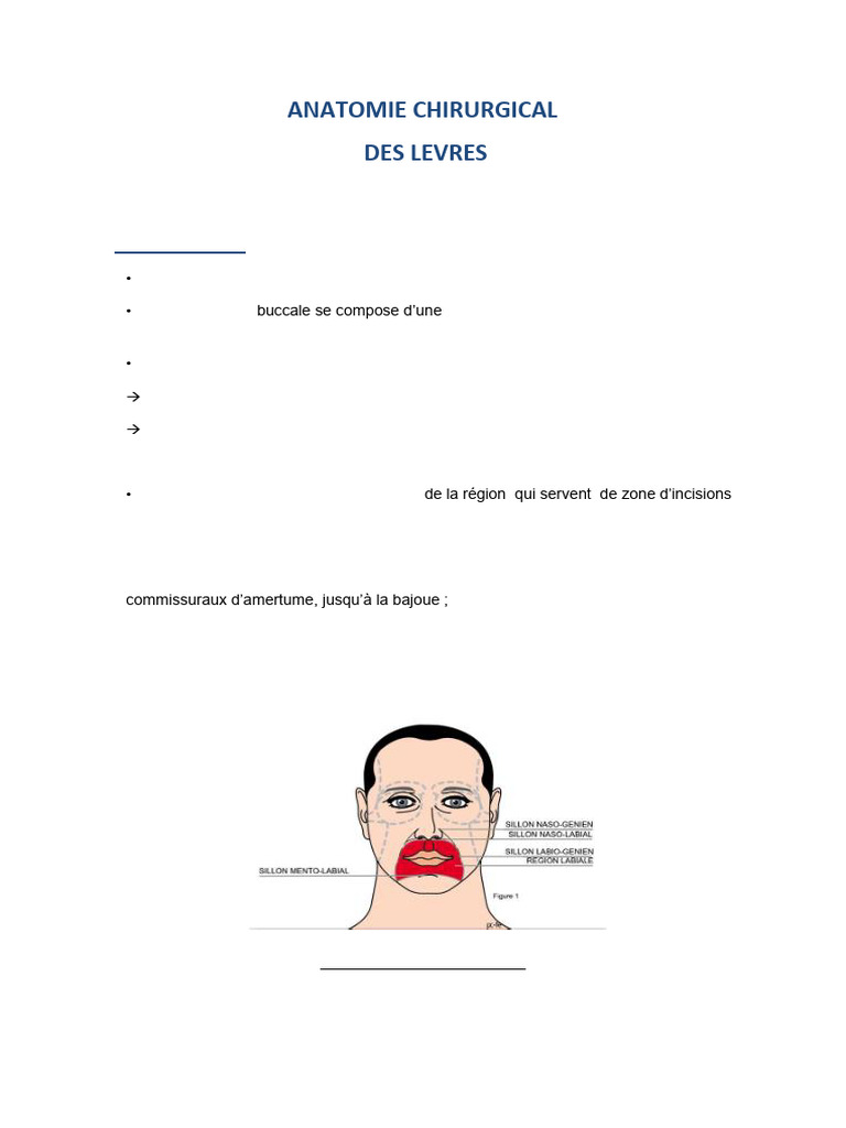 Anatomie Chirurgical Des Levres | PDF