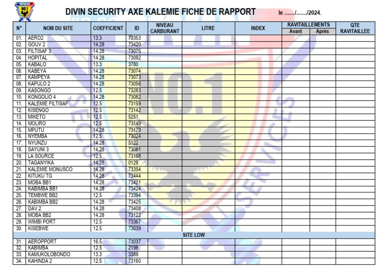 Divin Security Axe Kalemie Fiche de Rapport | PDF