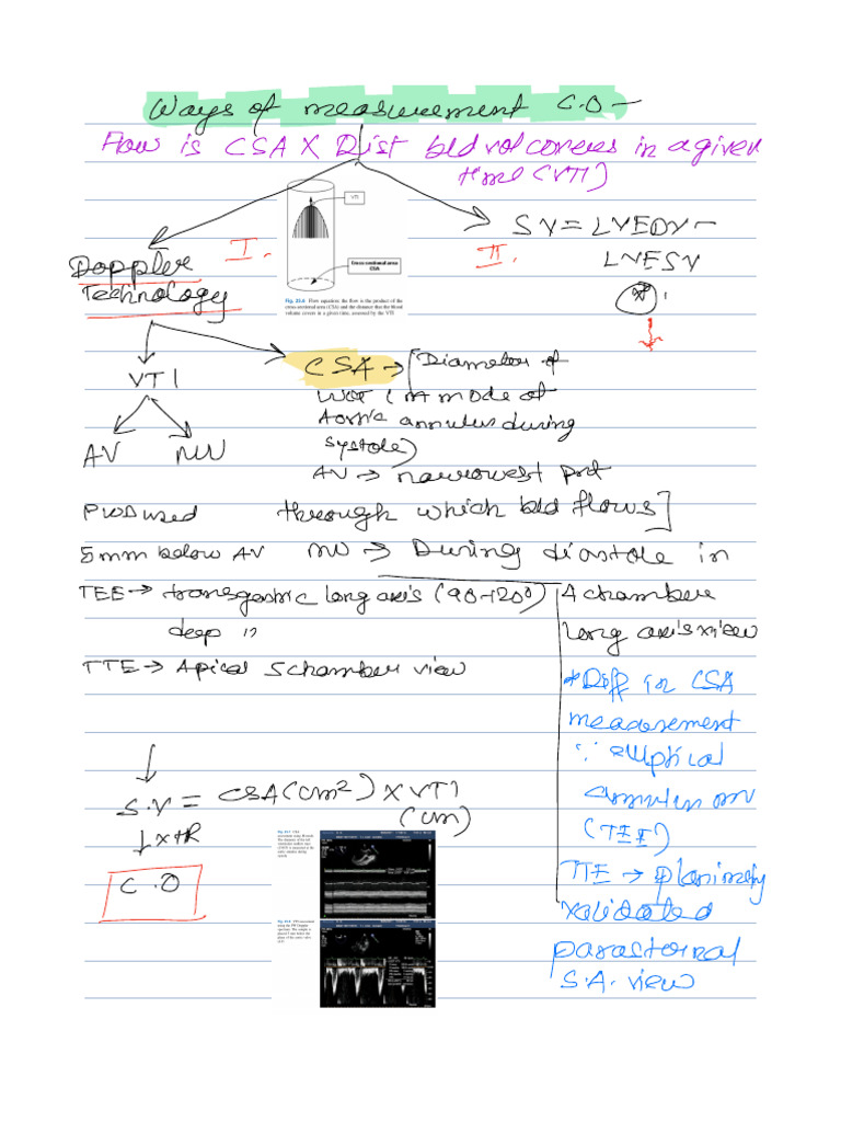 Cardiac Output Measurements by ECHO | PDF