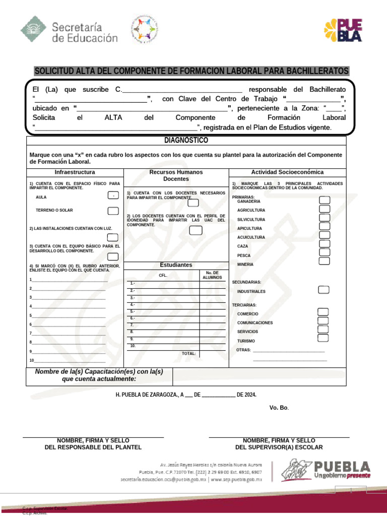 Formato Alta de CFL 2024-2025 VF | PDF