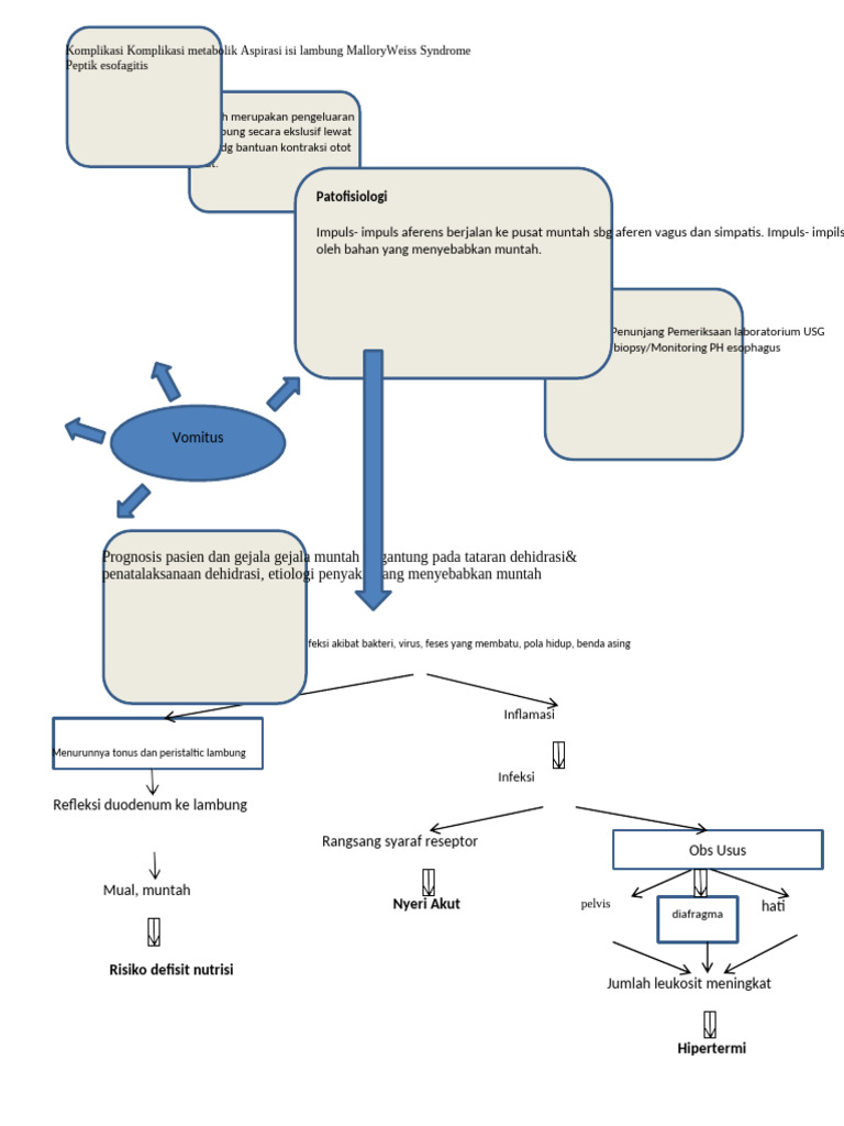 Mind Mapping Vomitus | PDF