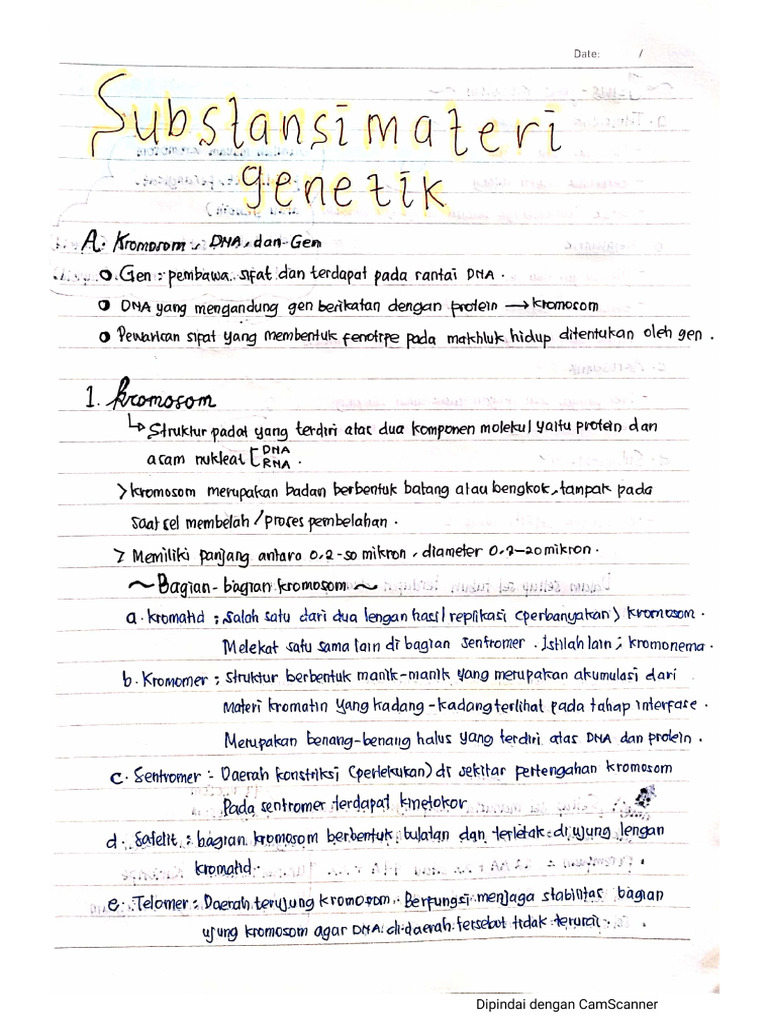 Substansi Materi Genetik | PDF