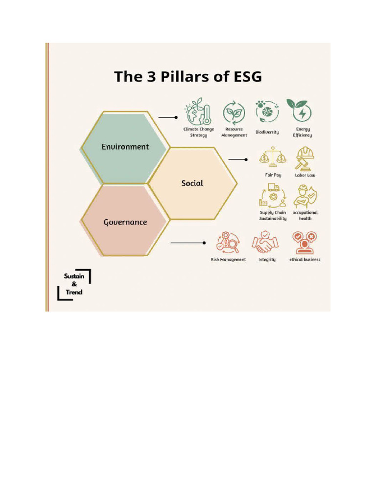 Three Pillars of ESG | PDF