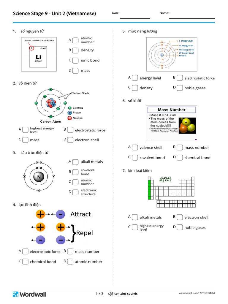 Science Stage 9 Unit 2 Vietnamese Quiz | PDF