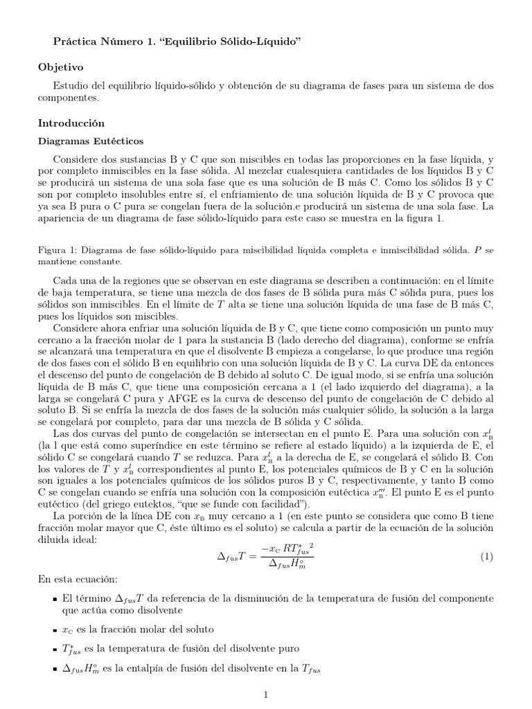 Práctica 1 Lab Int Fis | PDF