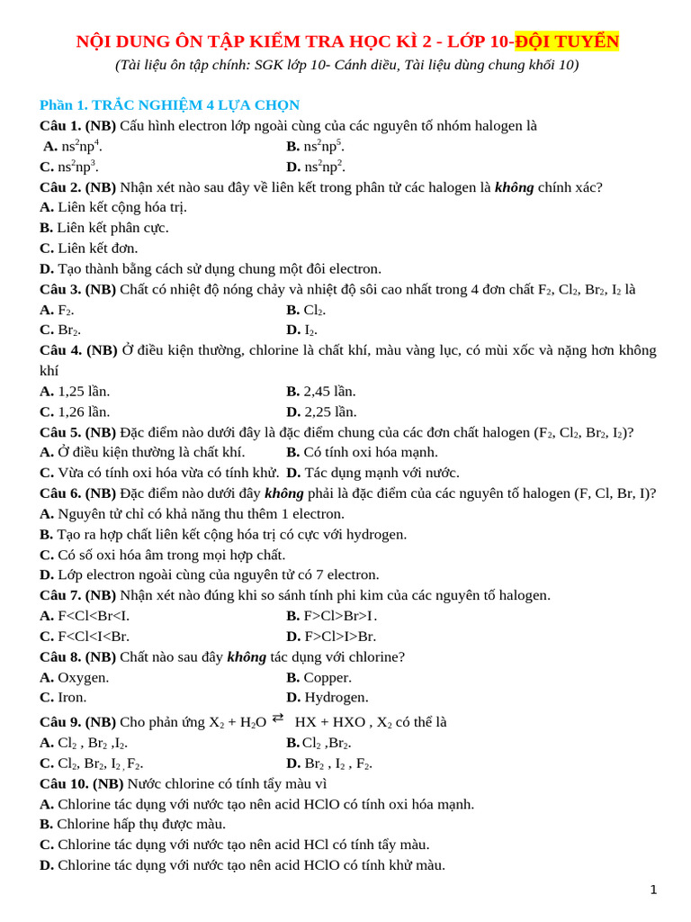 10 - de - de Cuong - HK2 - Doi Tuyen | PDF