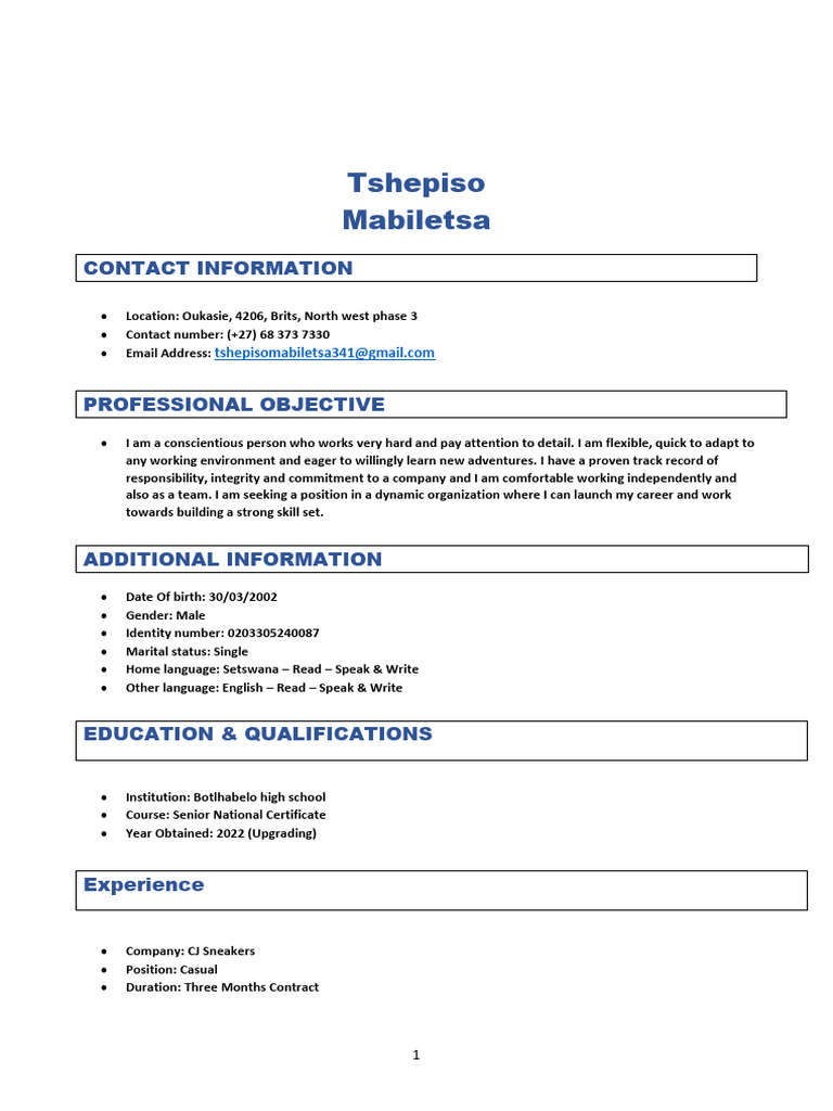 Tshepiso CV | PDF