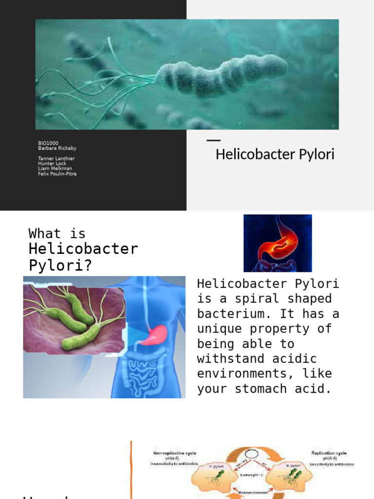 Helicobacter Pylori | PDF