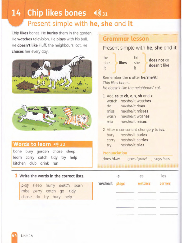 GRAMMAR - STARTER - Present Simple | PDF
