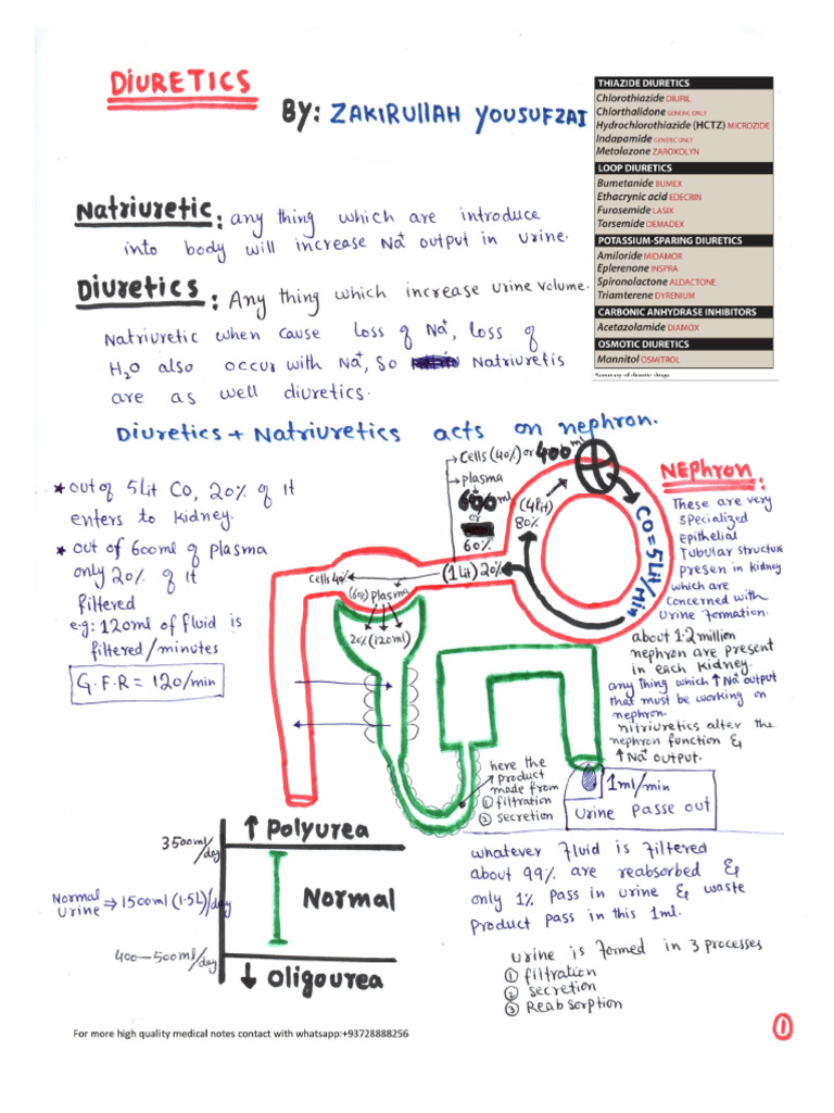 10 Diuretics | PDF