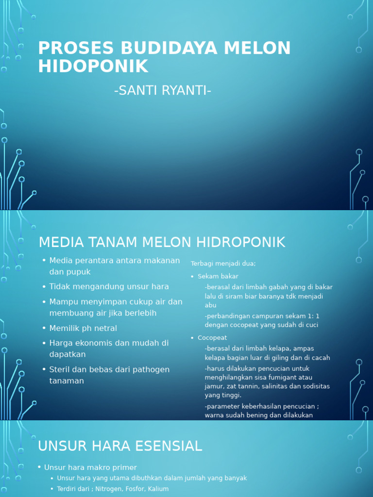 Proses Budidaya Melon Hidoponik | PDF