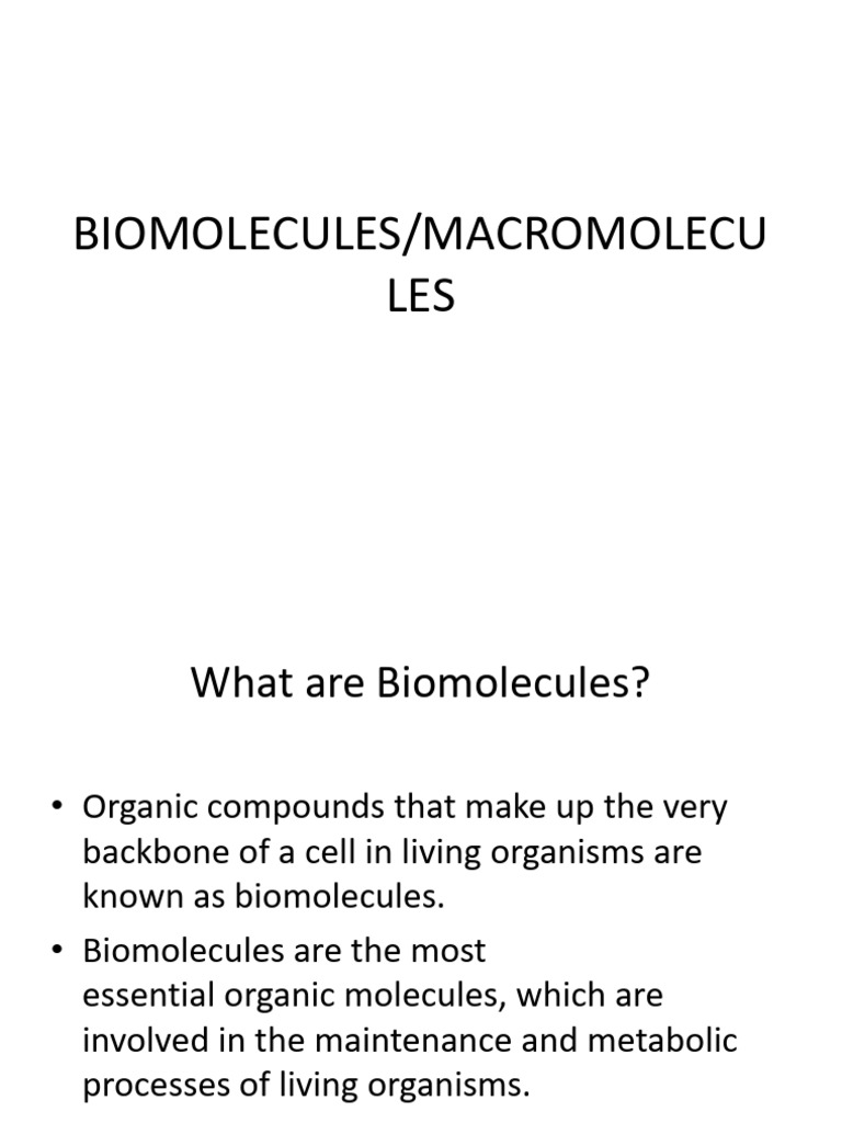 MACROMOLECULES | PDF