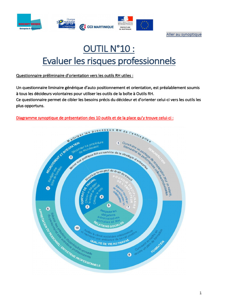 10-Evaluer Les Risques professionnels-CCIM | PDF