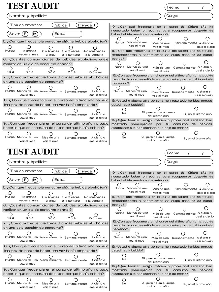 Test Audit | PDF