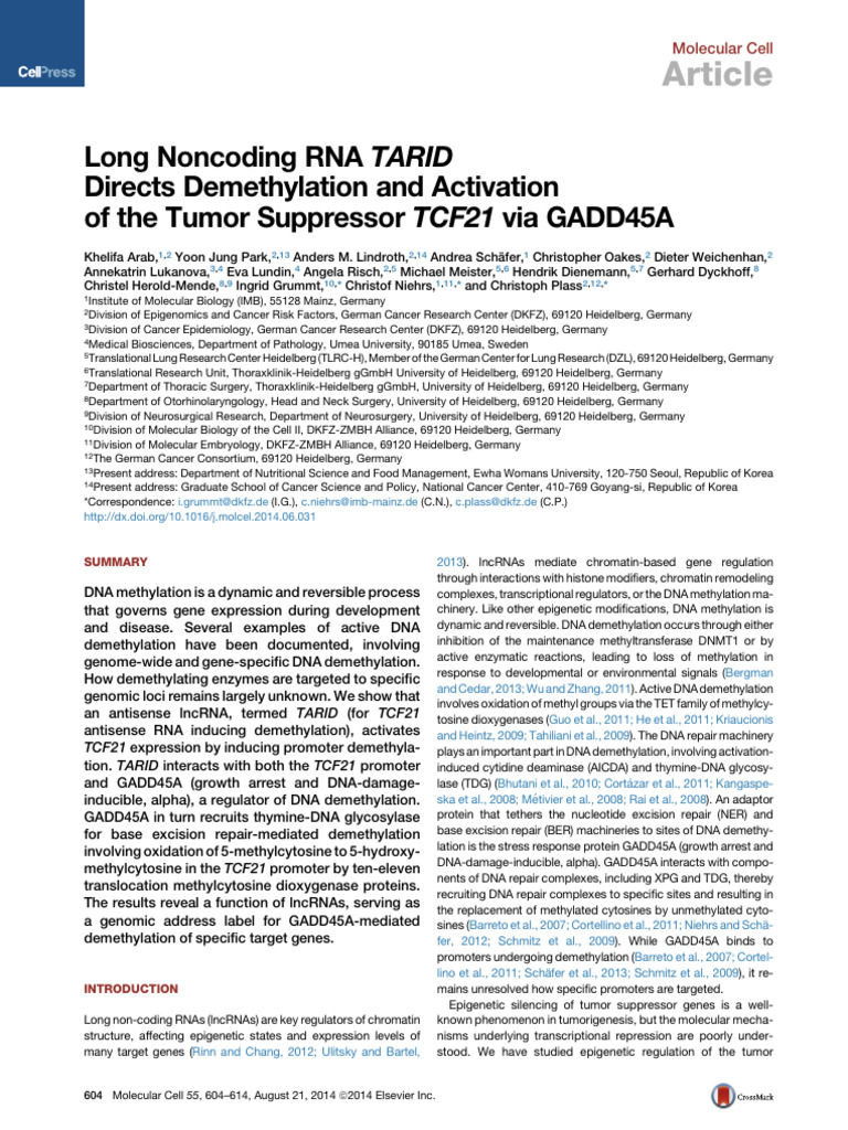The Demethylation | PDF