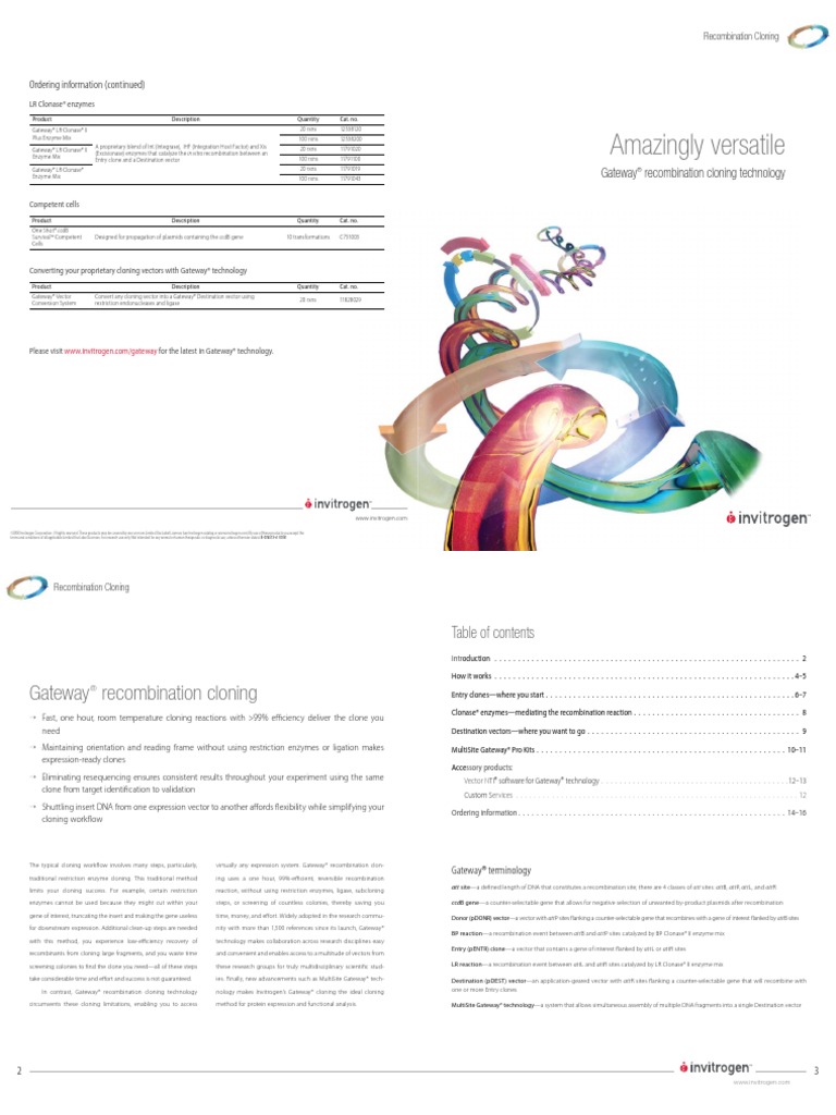 Amazingly Versatile: Gateway Recombination Cloning Technology ...