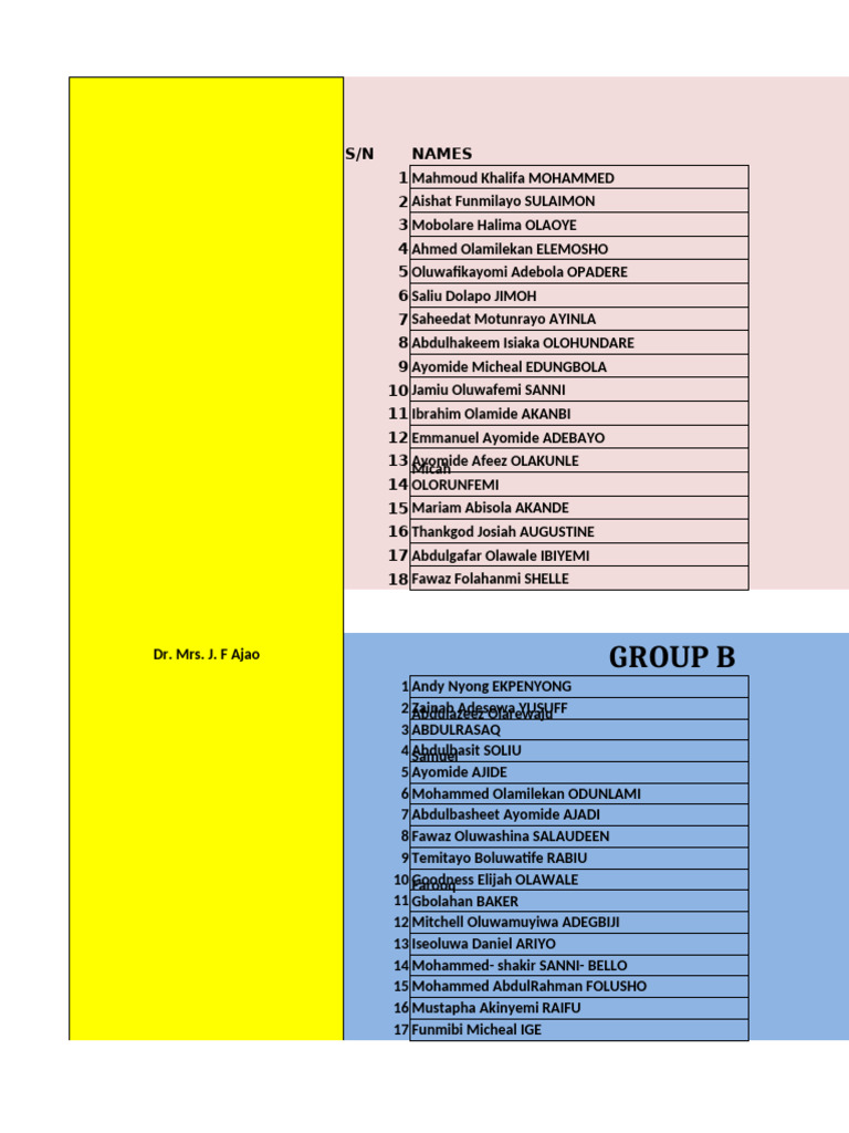 Updated Mrs Ajao Project Grouping | PDF