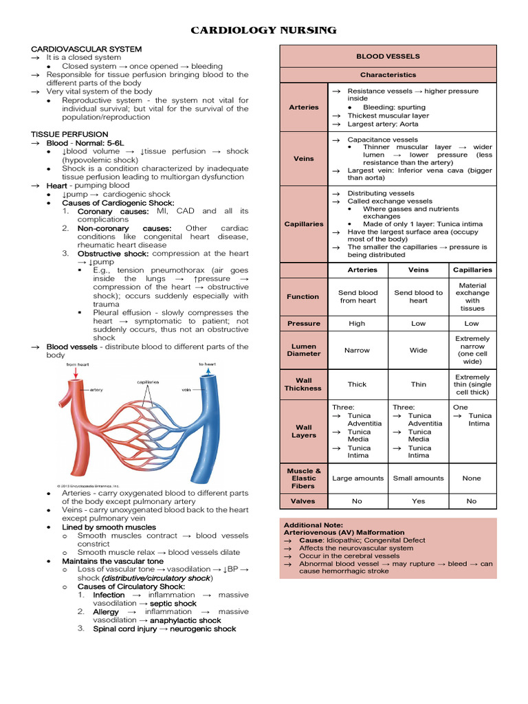 Cardiology Nursing | PDF