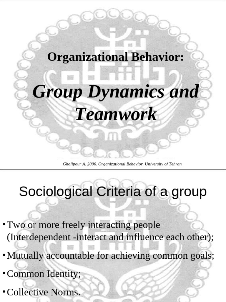 Group Dynamics | PDF | Group Cohesiveness | Organizational Behavior