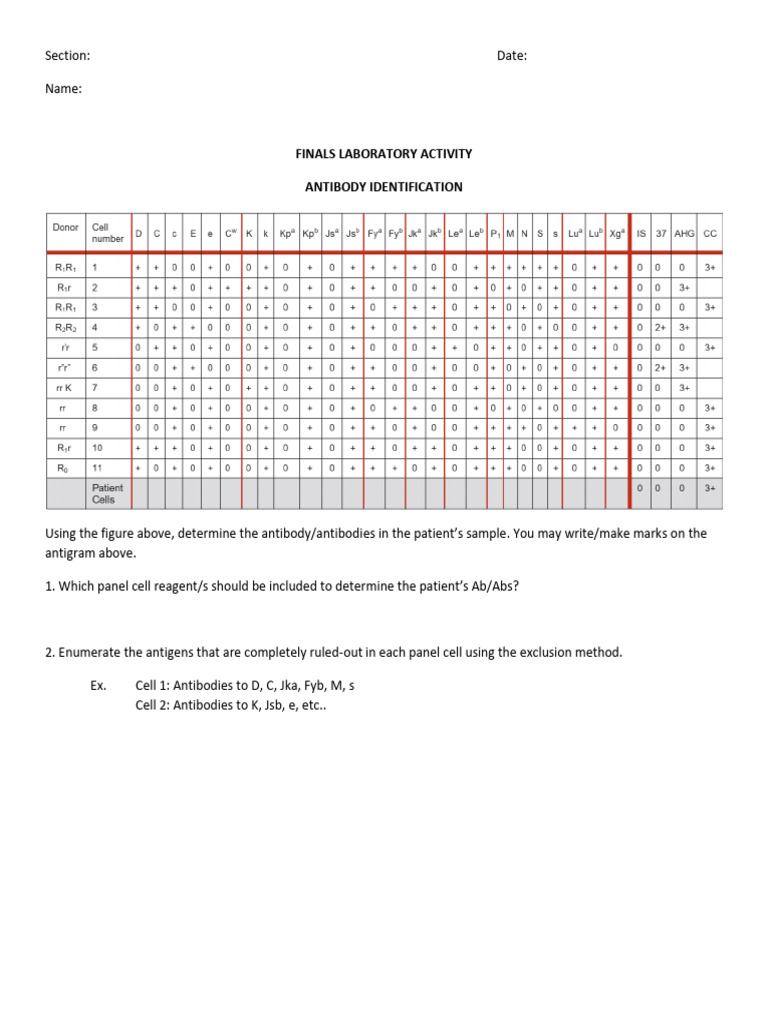 Antibody Screening and Identification | PDF