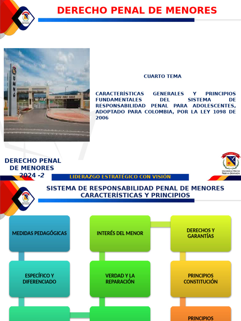 Tema 4 Dcho. Penal. Menores | PDF | Derecho penal | Ciencias sociales