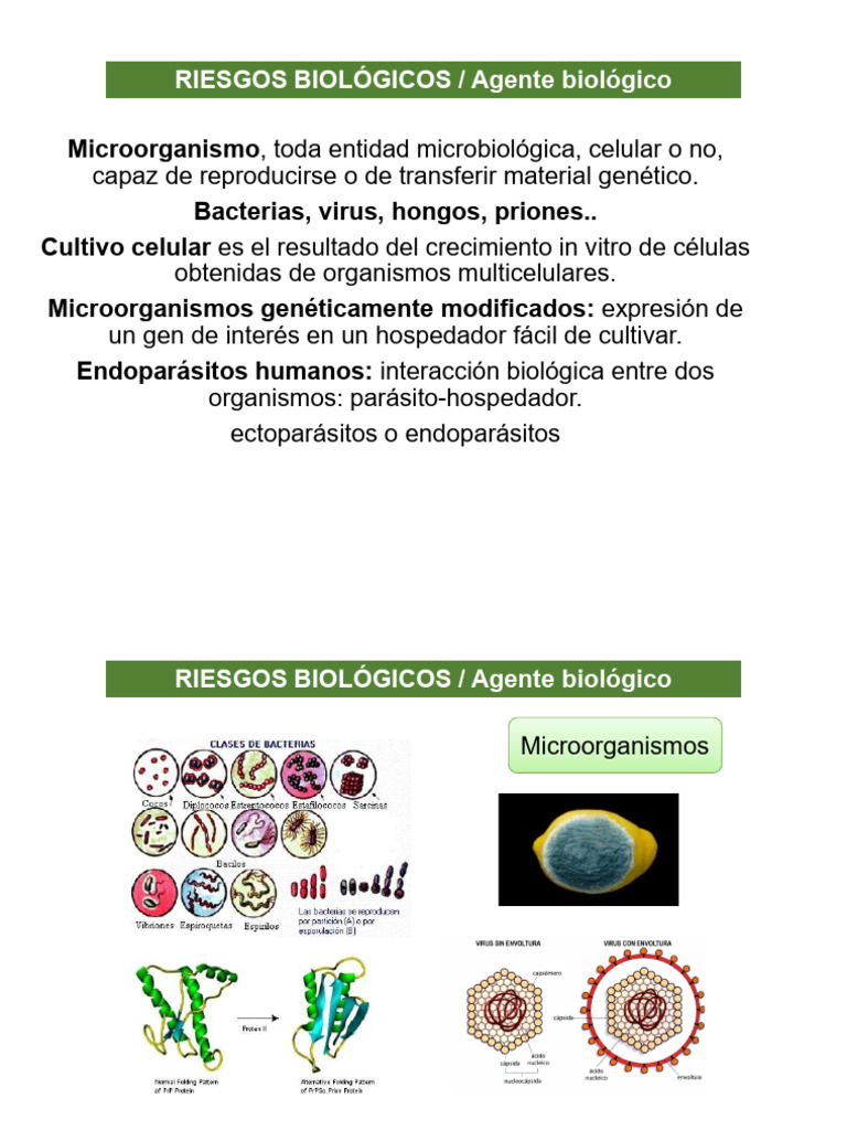 Riesgos Biológicos | PDF