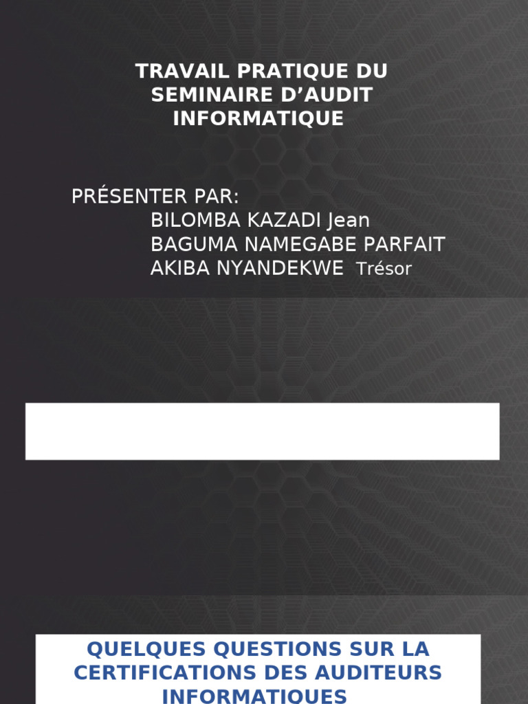 Travail Pratique Du Seminaire D'Audit Informatique | PDF