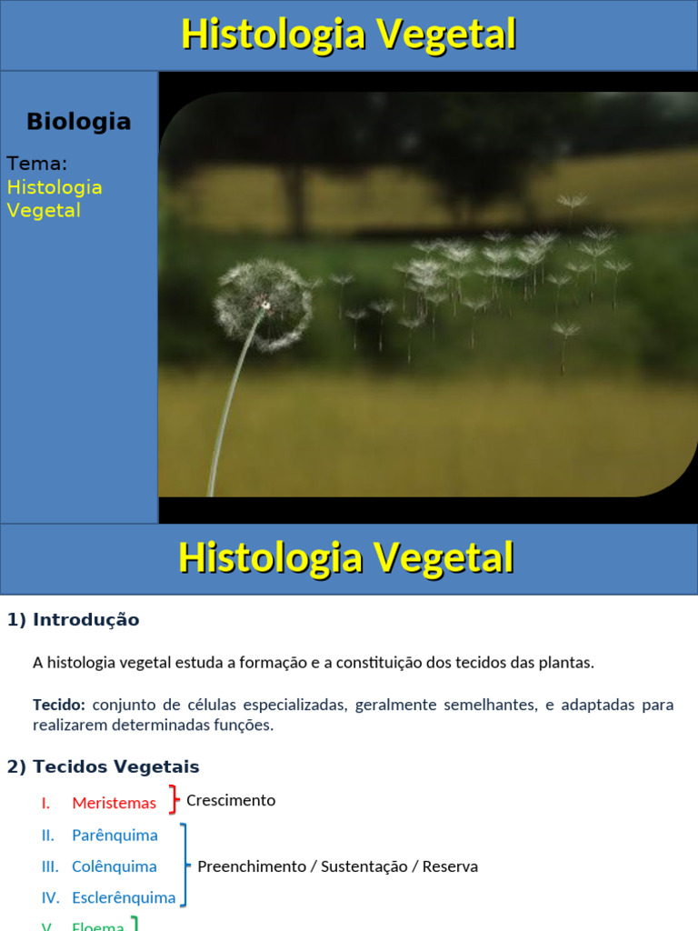 Histologia Vegetal 2024 | PDF
