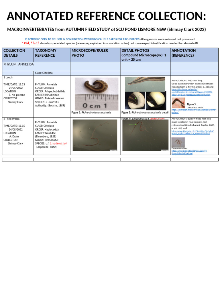 Annotated Reference Collection Chart - HD Example) | PDF