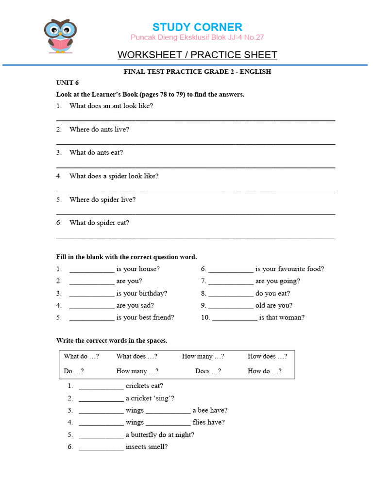 Final Test English P2 | PDF